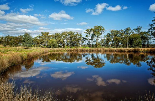 Dam Construction & Repairs NSW | Rural Dam Builds & Cleanouts